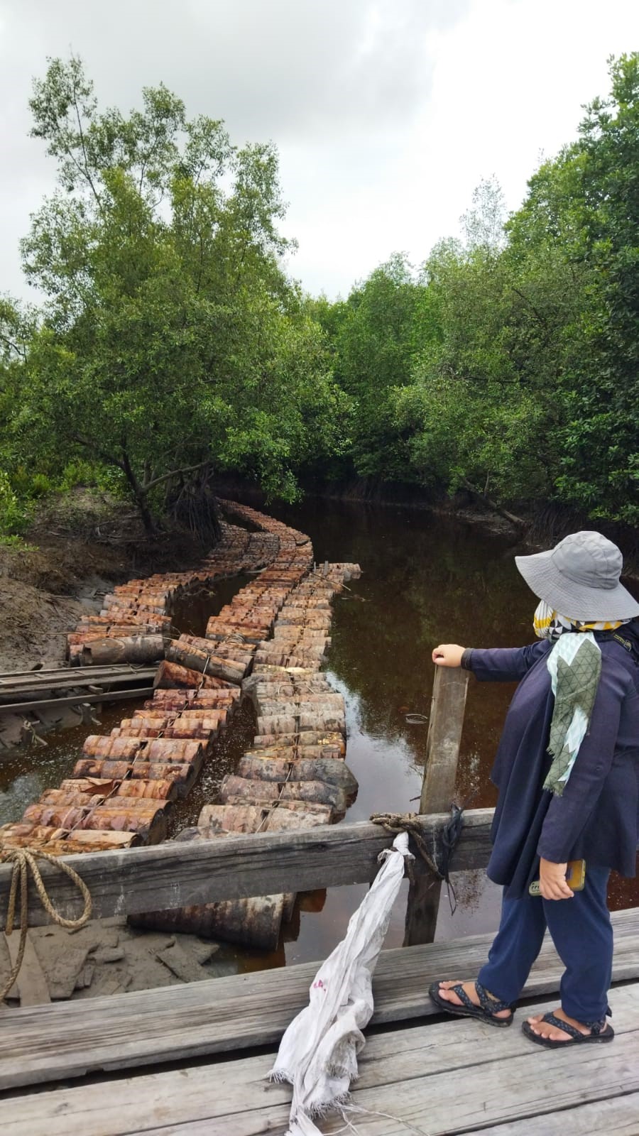 Rewetting Canal Blocking Meningkatkan Hasil Hutan Sagu di Meranti Riau ...
