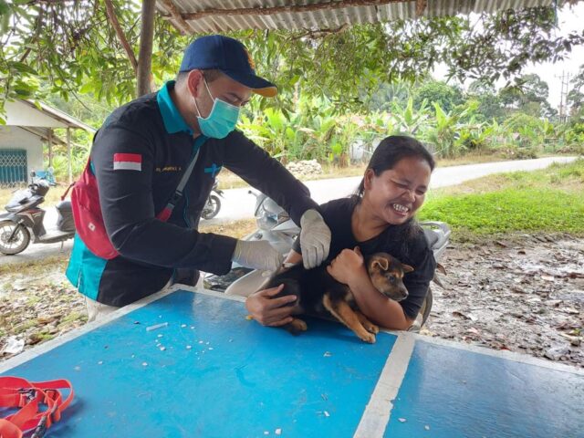 Waspada Rabies, Bisa Menular Lewat Luka Terbuka, Ini Penjelasan Ahli ...